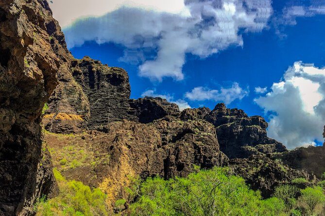 Mount Teide and Teno Country Park Private Tour - The Transport and Guide Experience