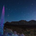 Mount Teide Night Tour: Stargazing, Dinner and Hotel Pick up - First Stop: Dinner at Bodega Reverón
