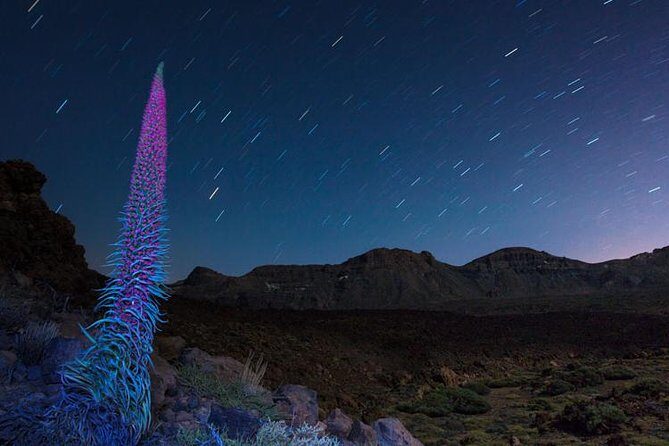 Mount Teide Night Tour: Stargazing, Dinner and Hotel Pick up - First Stop: Dinner at Bodega Reverón
