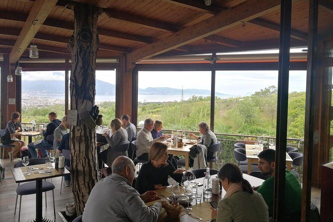 Mount Vesuvius Shore Tour, Pompeii & Winery Vesuvius Winery - Transportation and Practical Details