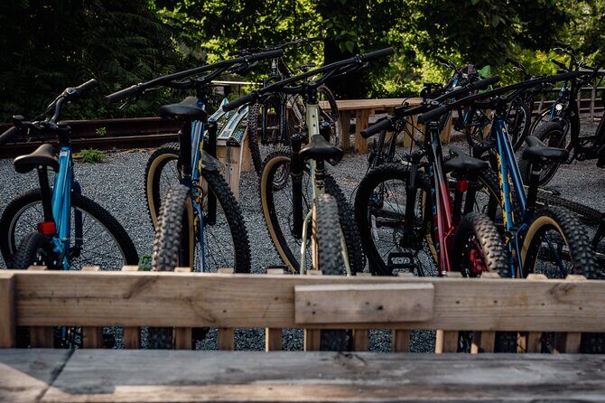 Mountain Bike Tour from The Roanoke Star - Post-Ride and Return