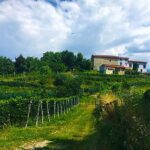 Mountain Bike tour in Spina Verde natural park - The Itinerary: What to Expect