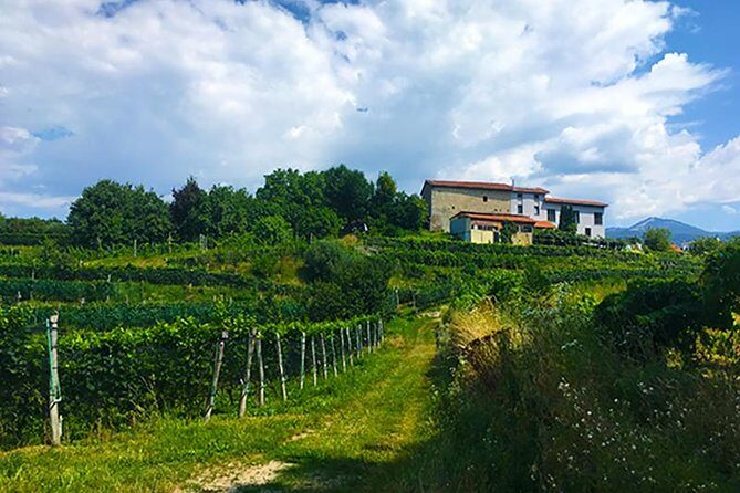 Mountain Bike tour in Spina Verde natural park - The Itinerary: What to Expect