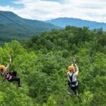 Mountaintop Zipline 2-Hours Activity - The Guides and Safety