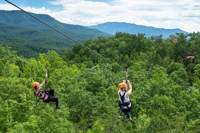Mountaintop Zipline 2-Hours Activity - The Guides and Safety