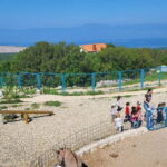 mrika (near Rijeka/Krk/Crikvenica) Donkey Farm Family Fun - The Overall Experience and Why It Works
