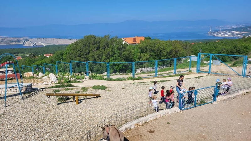 mrika (near Rijeka/Krk/Crikvenica) Donkey Farm Family Fun - The Overall Experience and Why It Works