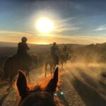Mt. Hollywood Trail Tour on Horseback - What the Reviews Reveal