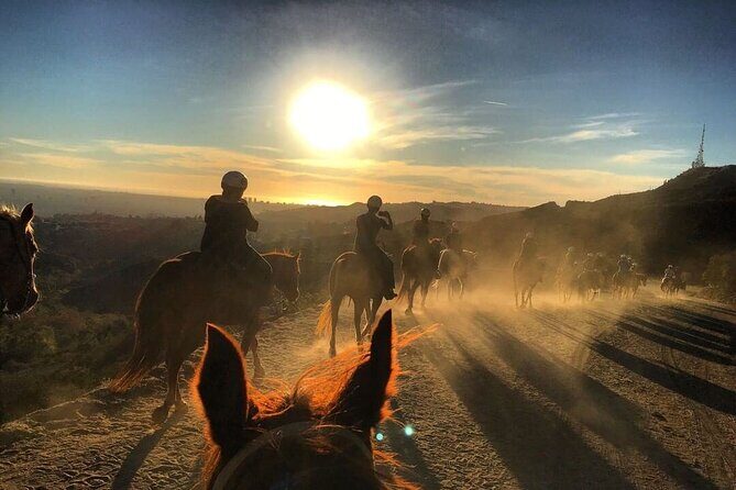 Mt. Hollywood Trail Tour on Horseback - What the Reviews Reveal