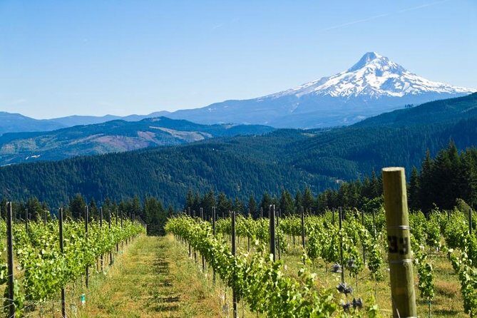 Mt. Hood Loop Tour from Portland - Insights from Travelers: Authentic Perspectives