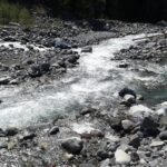 Mt Rainier Private Tour Experience in SUV - Practical Details You Need to Know
