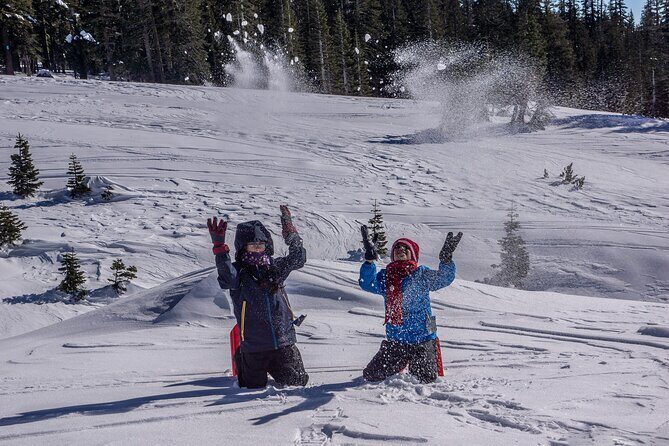 Mt. Shasta Snowshoeing Tours - What You Can Expect on This Tour