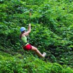 Mtirala National Park Tour - Whats the Value of This Tour?