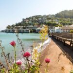 Muir Woods and Sausalito + Ferry, Alcatraz Night Tour & Aquarium Access - Alcatraz Night Tour