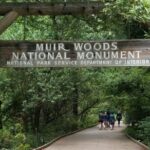 Muir Woods and Sausalito Tour Entrance Fee Included - Value and Practical Insights
