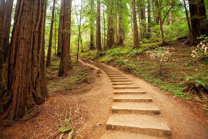 Muir Woods and Sausalito Tour Plus Bay Cruise - Authentic Experiences and Insights from Travelers