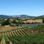 Muir Woods & Napa-8hr-Private Scenic Wine Tour From San Francisco - Whats Included and Whats Not