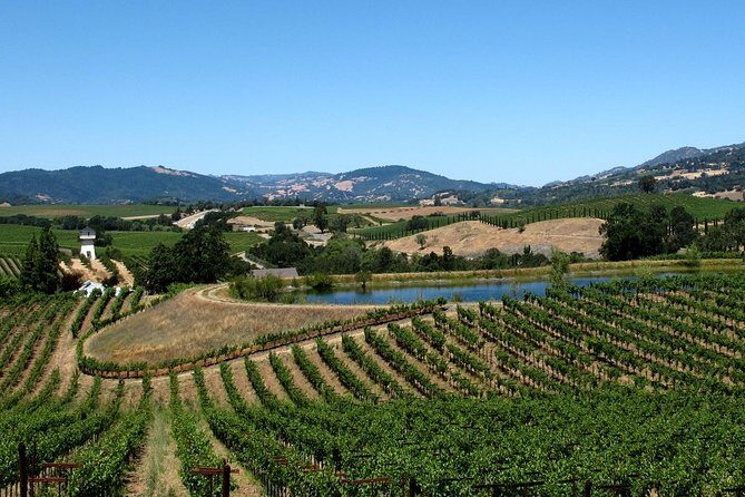Muir Woods & Napa-8hr-Private Scenic Wine Tour From San Francisco - Whats Included and Whats Not