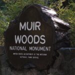Muir Woods, Sausalito and Tiburon Day Trip from San Francisco - Exploring the Itinerary in Detail