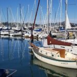 Muir Woods, Sausalito, Marin Headlands, Lighthouse Private Tour - Authentic Experiences & Practical Details