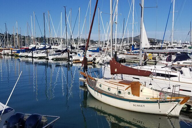 Muir Woods, Sausalito, Marin Headlands, Lighthouse Private Tour - Authentic Experiences & Practical Details