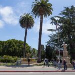 Muir Woods & Sausalito (Return by Bus or Ferry) - The Value of the Experience