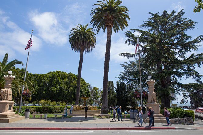 Muir Woods & Sausalito (Return by Bus or Ferry) - The Value of the Experience