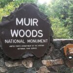 Muir Woods & Sausalito: Small Group Experience - Why This Tour Stands Out