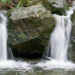 Muir Woods Self-Guided Driving and Walking Audio Tour - FAQ