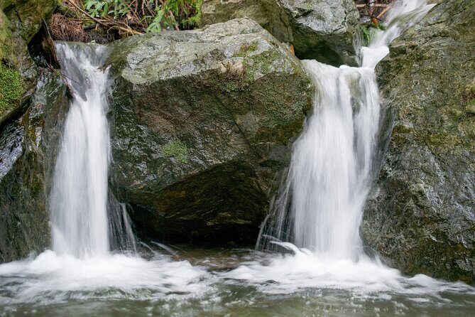 Muir Woods Self-Guided Driving and Walking Audio Tour - FAQ