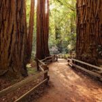 Muir Woods & Wine Tour: Redwoods & Tastings at 3 Wineries - Frequently Asked Questions