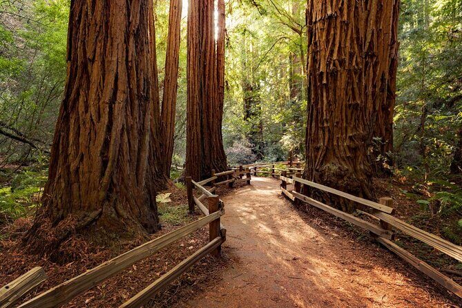 Muir Woods & Wine Tour: Redwoods & Tastings at 3 Wineries - Frequently Asked Questions
