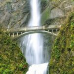 Multnomah Falls and Columbia River Gorge Half-Day Hiking Tour - Authentic Reviews: What Travelers Love (and Sometimes Wish Was Different)