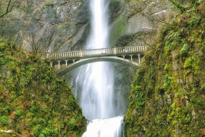 Multnomah Falls and Columbia River Gorge Half-Day Hiking Tour - Authentic Reviews: What Travelers Love (and Sometimes Wish Was Different)