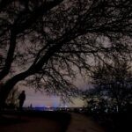 Munich: 3-Hour Culinary Nightwatch Tour - Assessing Value and Experience