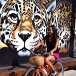 Mural Bike Tour - What to Expect During the Itinerary