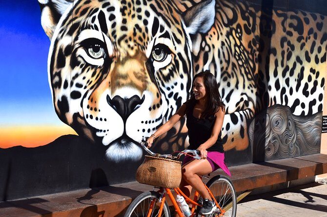 Mural Bike Tour - What to Expect During the Itinerary