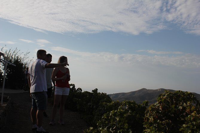 Muscat Raisin Route - Small group with lunch included - The Lunch Experience