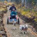 Mush Your Own Sled Dog Team (Summer/Fall Tour) - Itinerary Breakdown: What to Expect