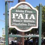 'Must-See Places & Things' for 'First Time' on Maui, Hawaii ... - Final Thoughts: Who Will Love This Tour?