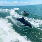 Myrtle Beach Dolphin Cruise - Key Points