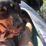 Mystical Private Kayak and Canoe Tours on Caddo Lake - The Guide & Experience Quality
