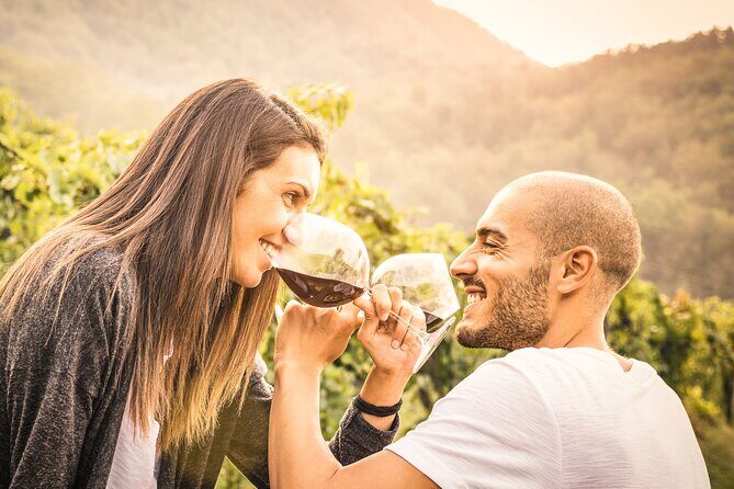 Napa and Sonoma-8-hr Private-Wine Tour from San Francisco XL SUV - The Itinerary in Detail