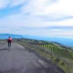 Napa/Sonoma: Guided Tour for Cycling Enthusiasts - The Itinerary Breakdown