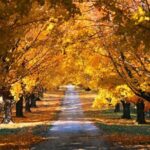 Napa & Sonoma Valley : Custom Wine Tour - Why This Tour Works