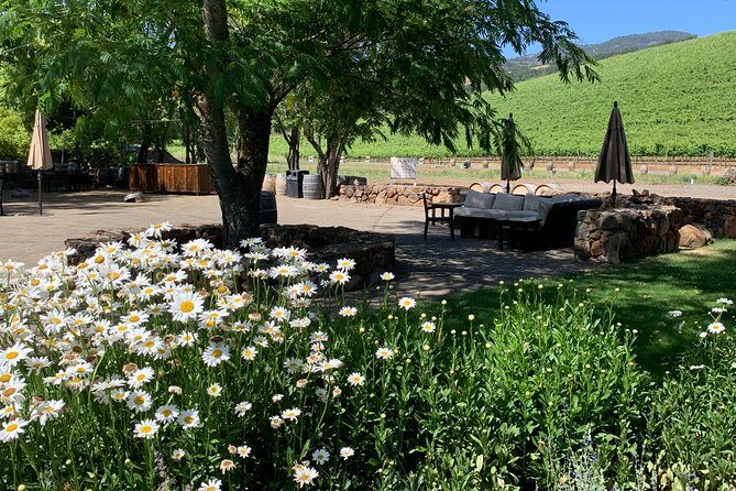 Napa & Sonoma Wine Tour | 6-8hr Private Fully Customized.*XL SUV - Is this Tour Worth the Price?