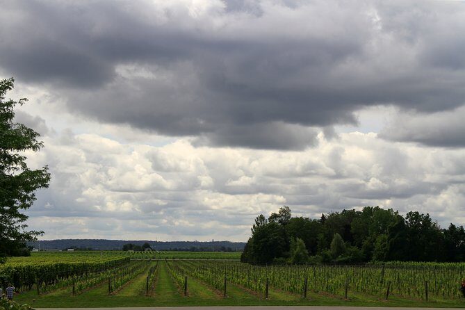 Napa & Sonoma Wine Tour Private Tours 8 to 10 Hours max 14 pax - Why You Should Consider This Tour