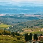 Napa Valley: Airplane Napa Valley Tour - Why It’s a Good Deal
