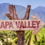 Napa Valley: Guided Wine Tour with Picnic Lunch - Itinerary Breakdown and Highlights
