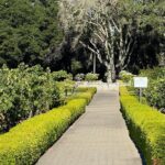 Napa Valley Luxury Wine Tours & Car Services - The Wineries and Experiences: Curated and Intimate